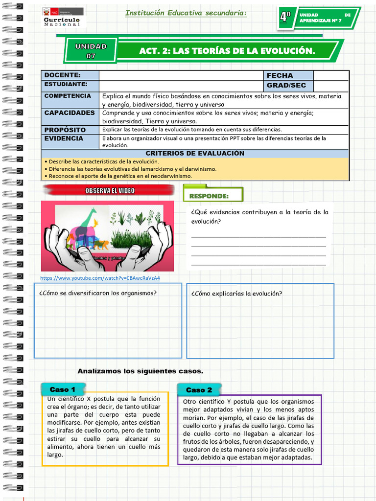 B-4º Act 2-Cyt-Und 7 | PDF | Evolución | Seleccion natural