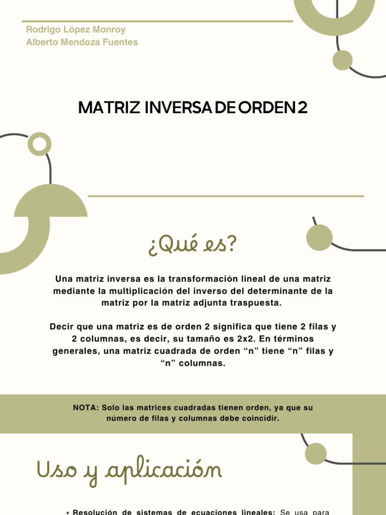 Presen PDF | PDF | Matriz (Matemáticas) | Determinante