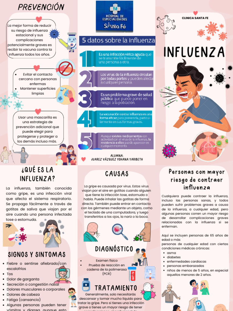 Prevención de Influenza | PDF | Influenza | Causas de la muerte