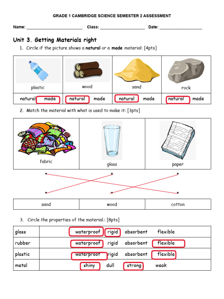 Stage 2 Science S2 Assessment | PDF | Tooth