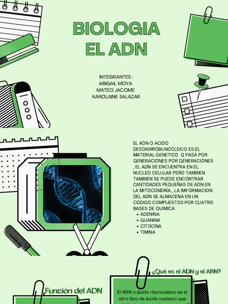 Biologia - Adn | PDF | Adn | Rna