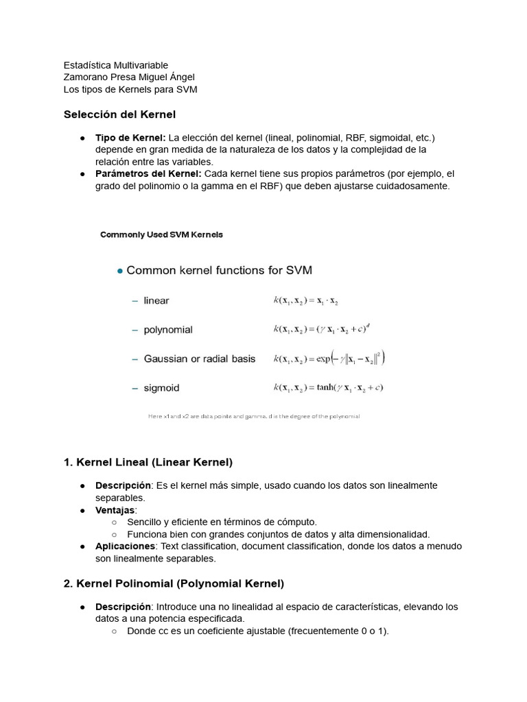 Tipos Kernel | PDF | Red neuronal artificial | Máquinas de vectores soporte