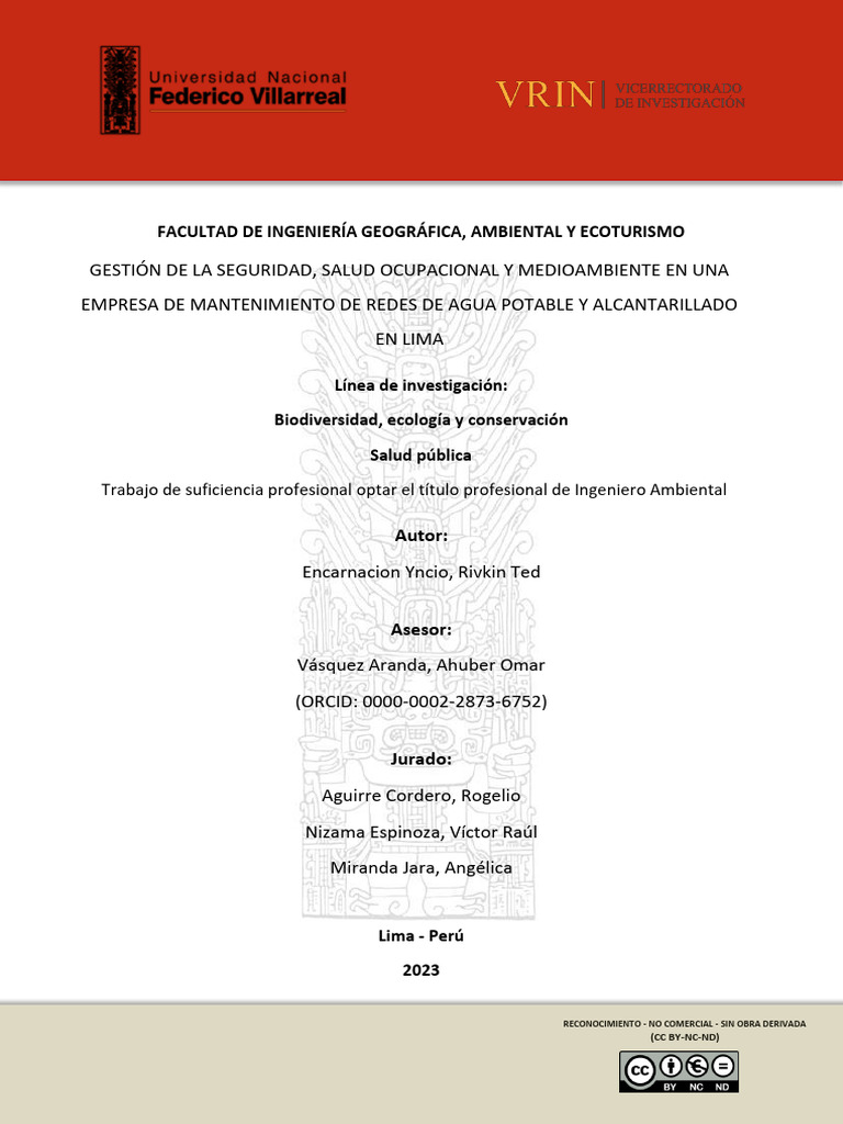 UNFV FIGAE Encarnacion Yncio Rivkin Ted Titulo Profesional 2023 | PDF ...
