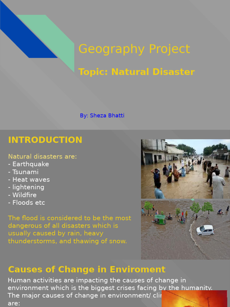 Geography Project | PDF