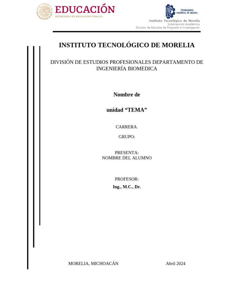 Guía de Formato Académico ITM | PDF | Tratamiento a base de calor