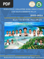Sample BDRRM 2024 Nnual Investment Plan | PDF | Emergency Management | Risk