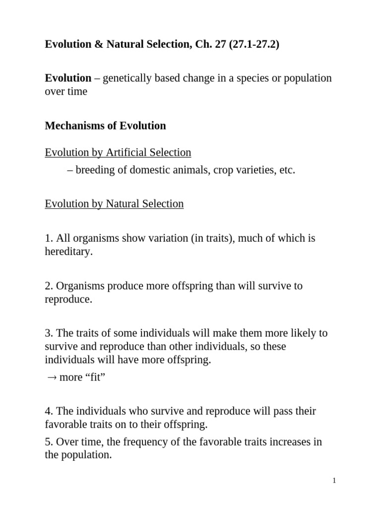 Evolution Outline | PDF