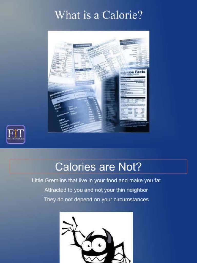 What Is A Calorie | PDF