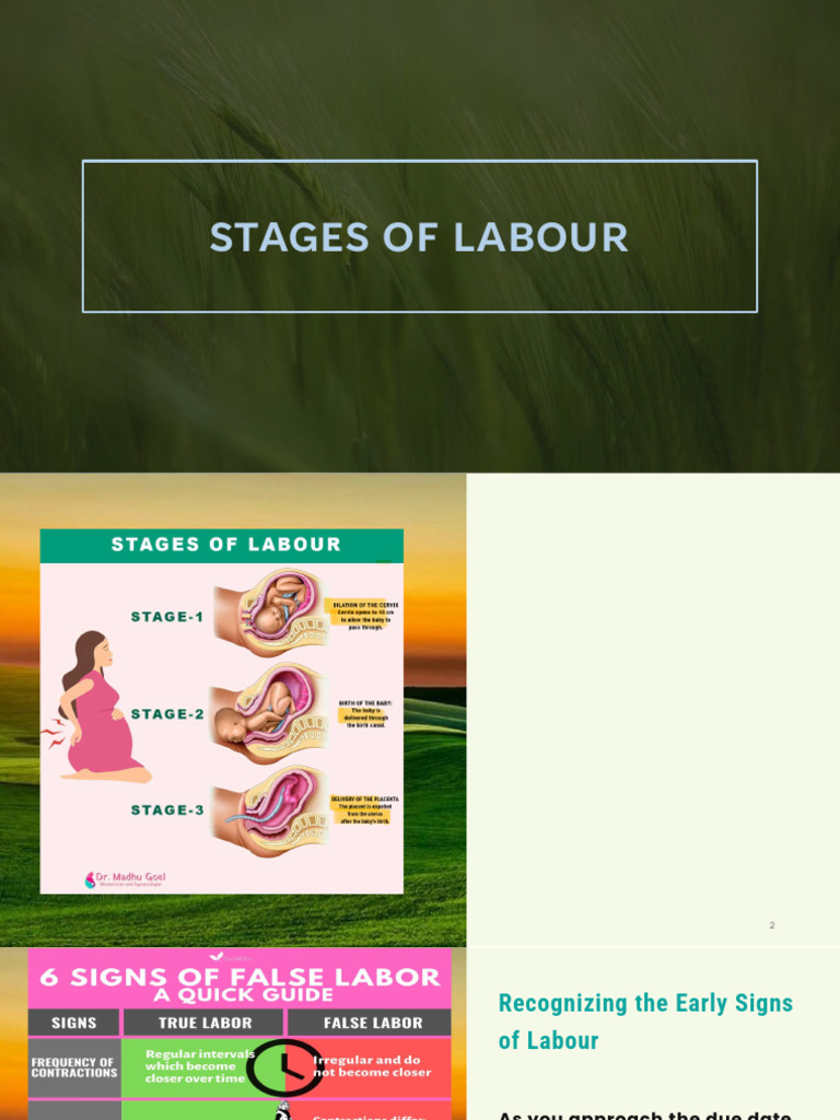 Stages of Labour | PDF | Childbirth | Placenta