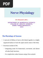 GCSE Biology - The Nervous System - Reflex Arc - Worksheet | PDF ...