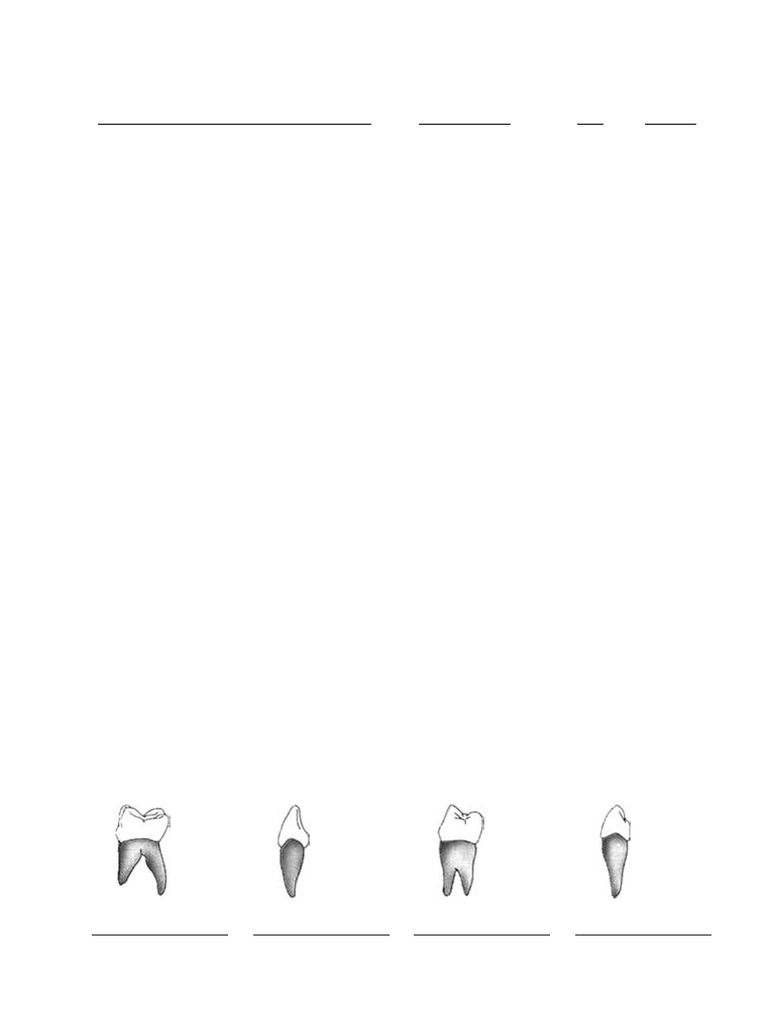 Grade IV Science Worksheet: Teeth & Microbes | PDF