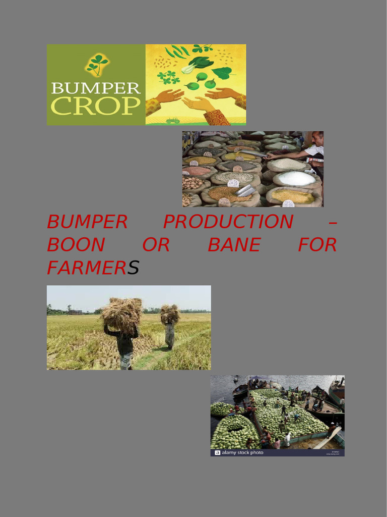 Bumper Production Intro | PDF