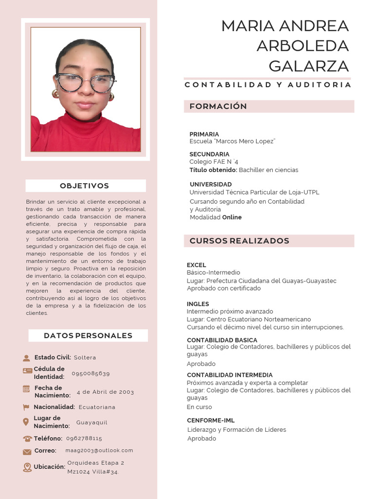 Currículum | PDF | Contador | Auditoría