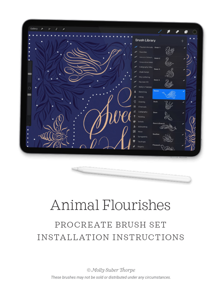 Brush Installation Instructions | PDF