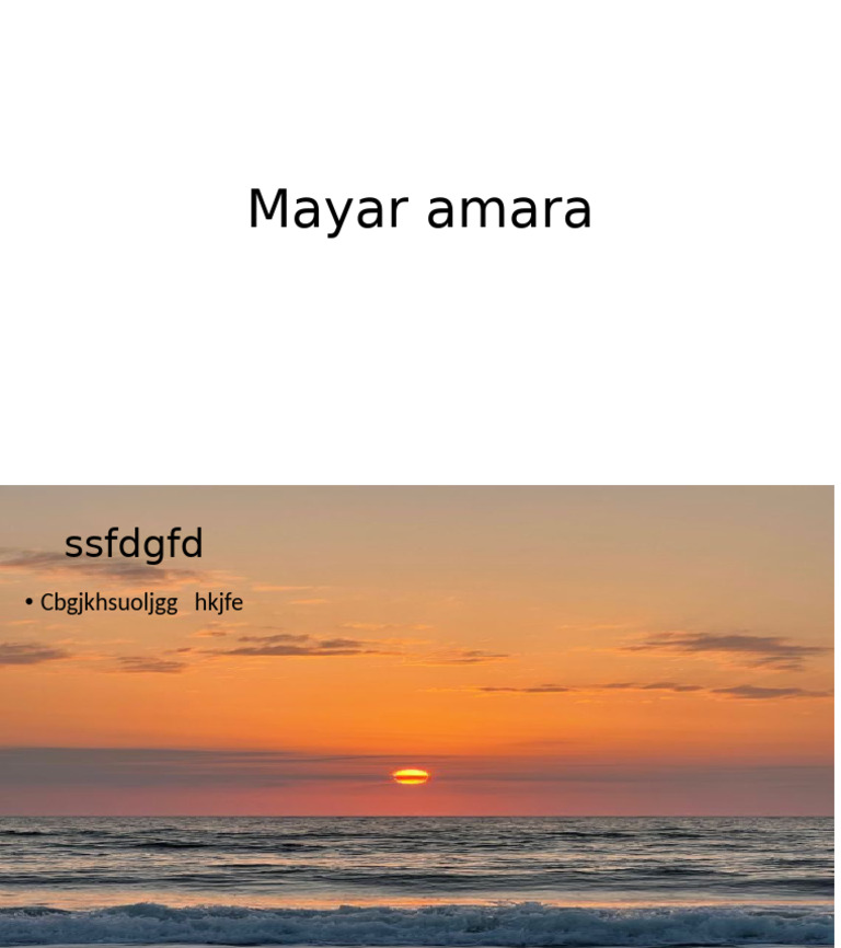 Mayar Amara | PDF
