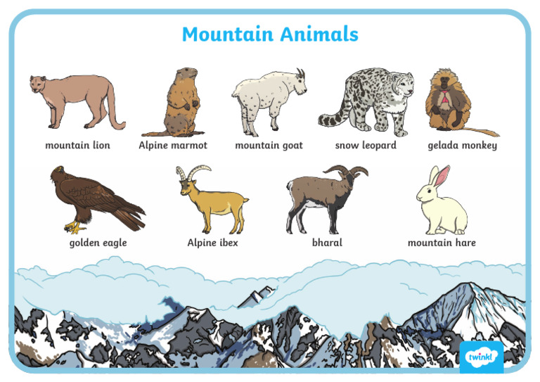 Mountain Animals Word Mat | PDF