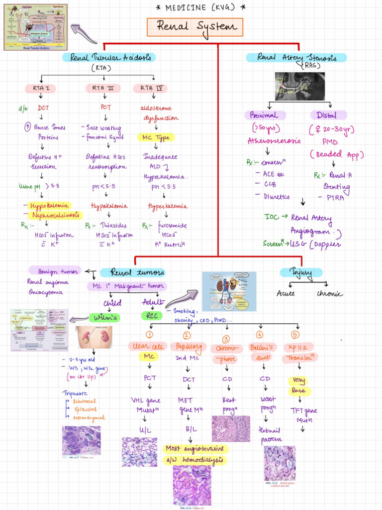 Medicine Mindmaps (Topics by DR - KVG) | PDF