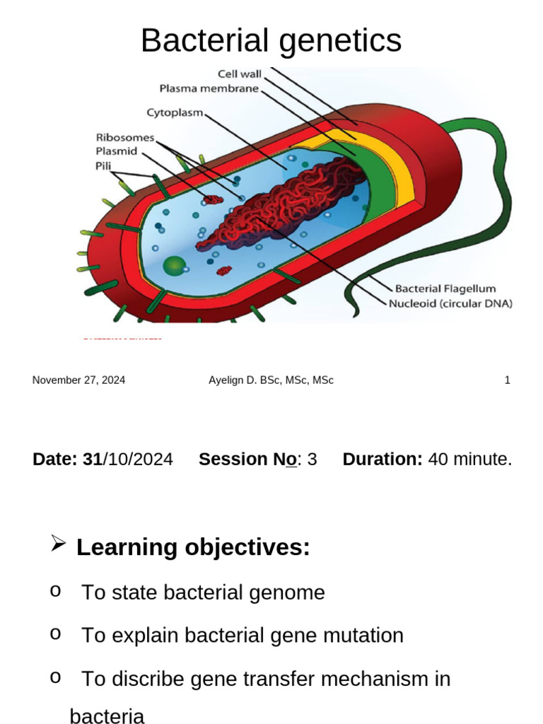 Lecture-3 Bacterial Genetics | PDF | Dna | Gene