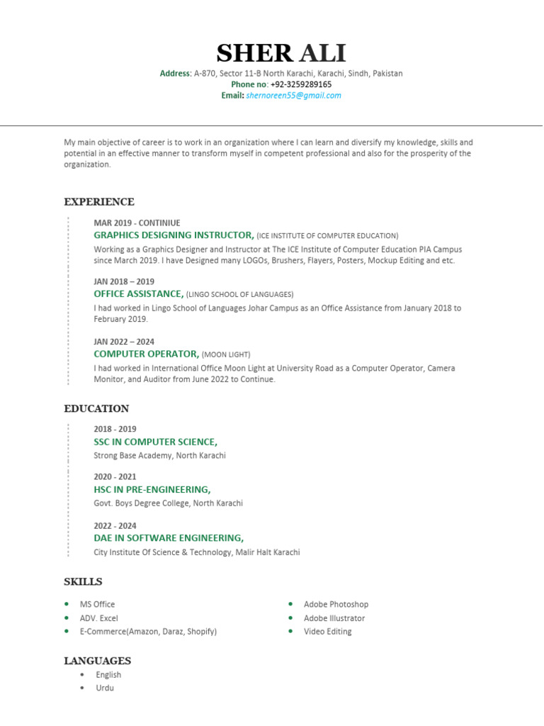 Sher Ali CV | PDF
