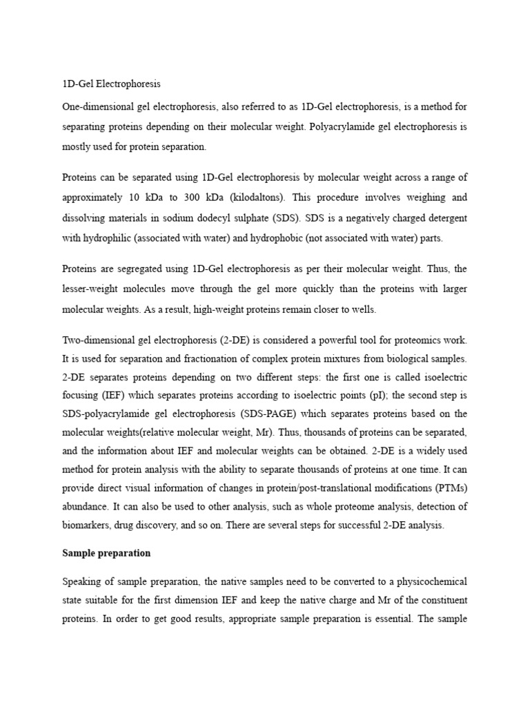 2D Gel | PDF | Gel Electrophoresis | Polyacrylamide Gel Electrophoresis