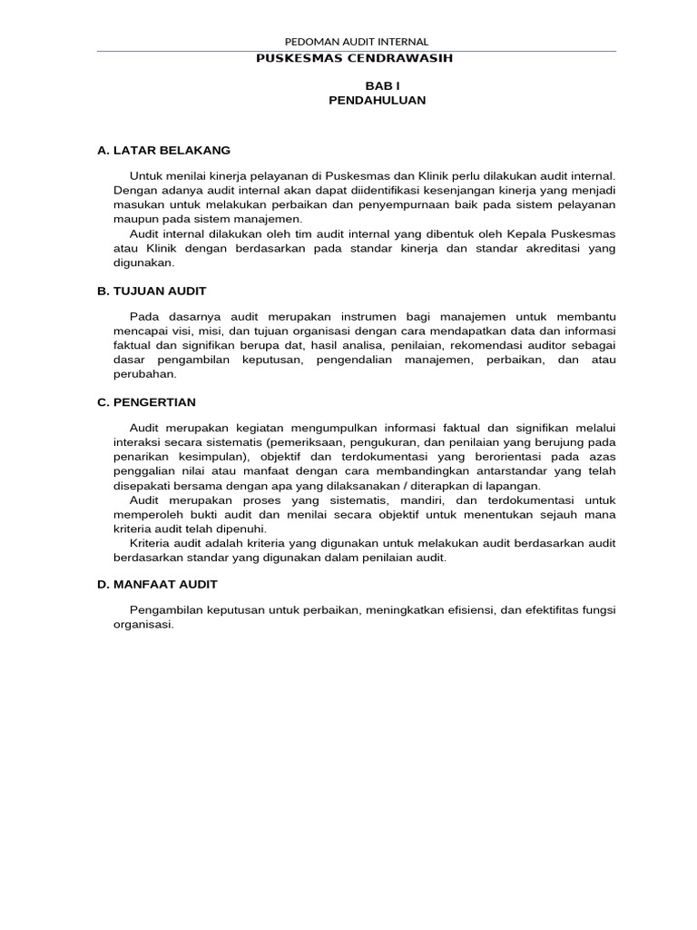 Pedoman Audit Internal | PDF