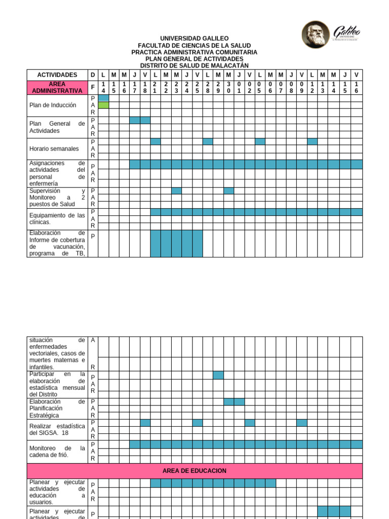 Grafica de Gantt COMUNITARIA | PDF | Enfermería | Gestión de recursos humanos