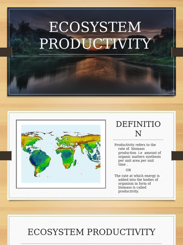 Ecosystem Productivity | PDF | Primary Production | Ecosystem