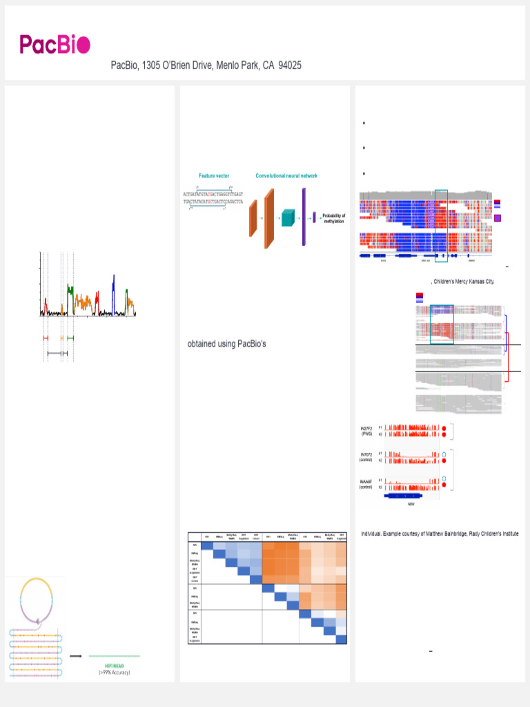 CpG Methylation Detection with PacBio HiFi | PDF | Dna Sequencing | Dna ...