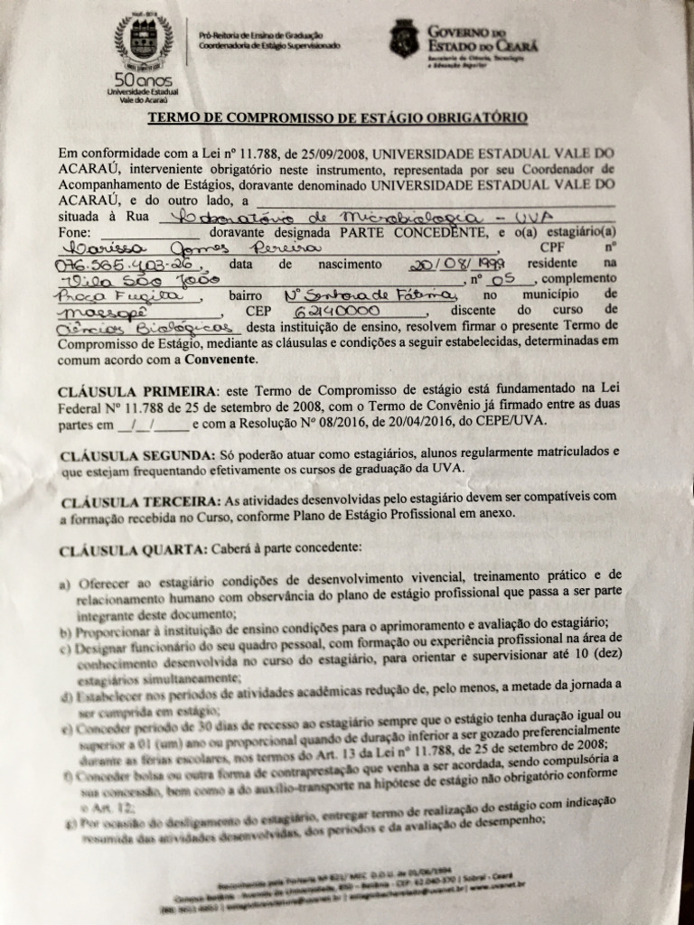 Termo de Compromisso | PDF