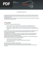 Classification de Magerl | PDF | Maladies et troubles | Causes de décès