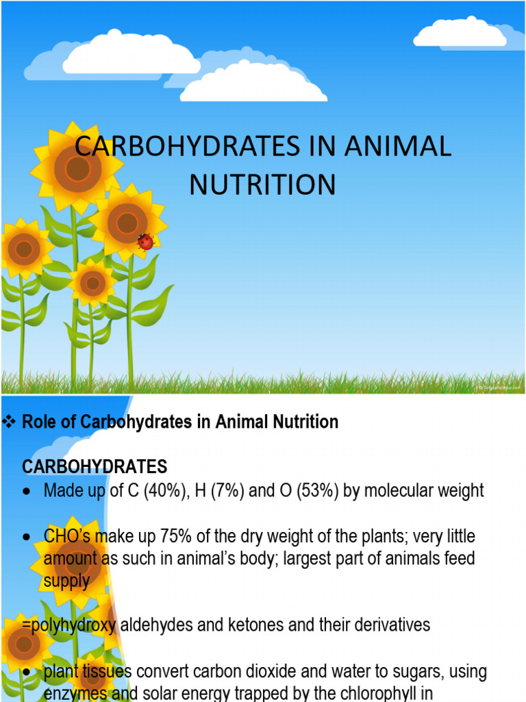 Carbohydrates in Animal Nutrition | PDF | Carbohydrates | Glucose
