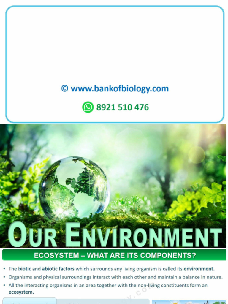 PC - Same - Our Environment | PDF