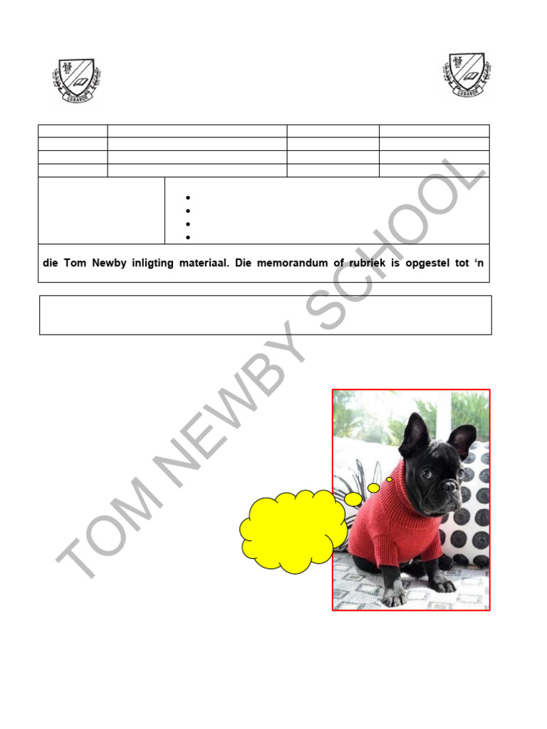 Grade 4 Afrikaans Exam November 2021 | PDF