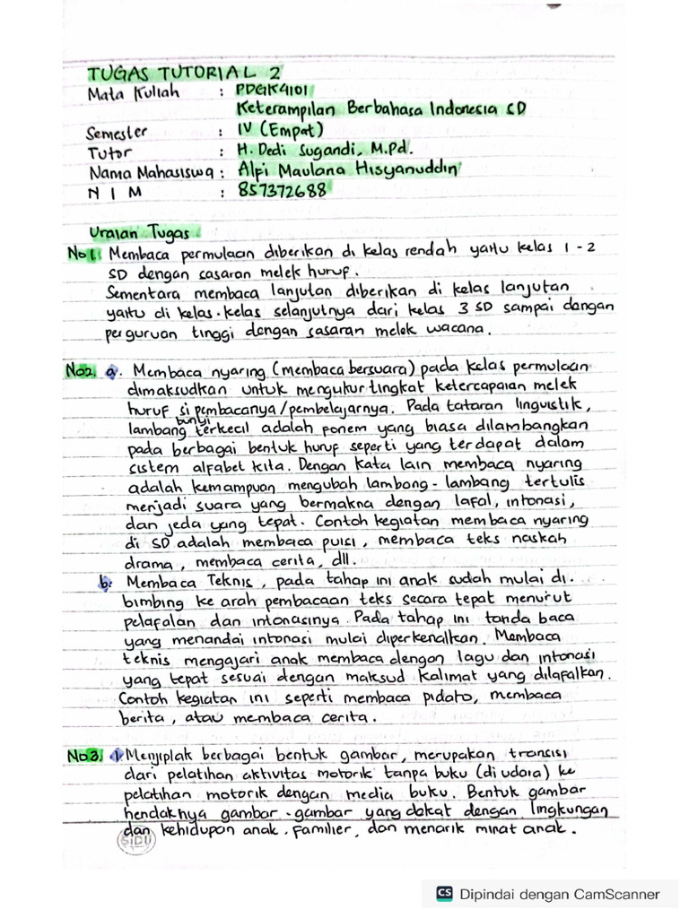 TT2 PDGK4101 Indonesia Alfi | PDF