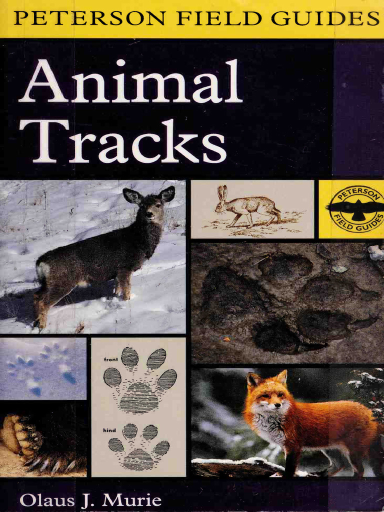 Peterson Field Guide Animal Tracks | PDF