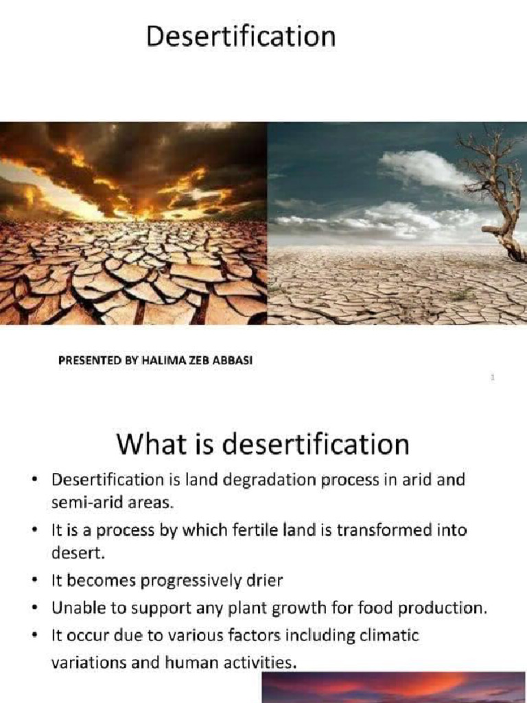 Desertification | PDF