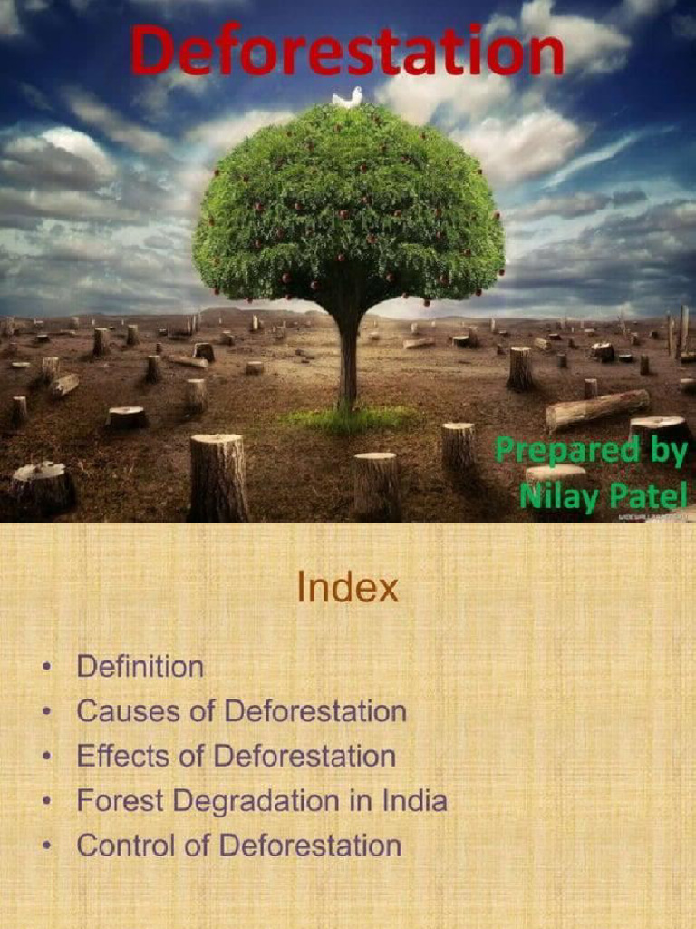 Deforestation | PDF
