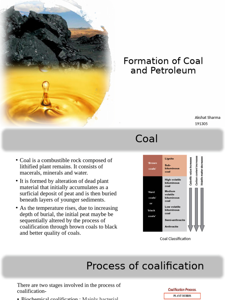 Formation of Coal and Petroleum | PDF | Coal | Petroleum