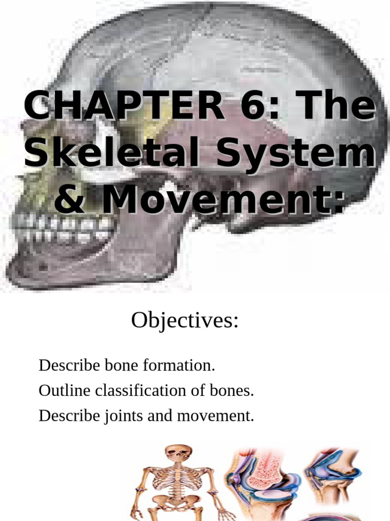 CHAPTER 6 Skeletal System and Movement | PDF | Bone | Osteoporosis