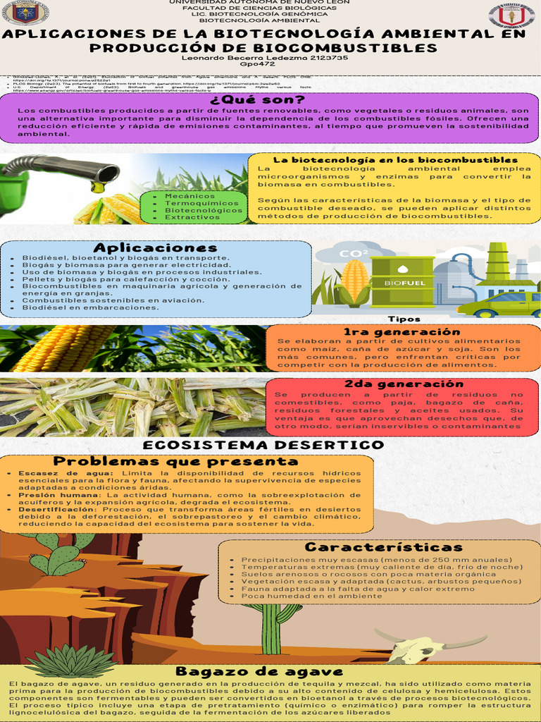 LBL BioAmb Infografia | PDF | Biocombustible | Biomasa