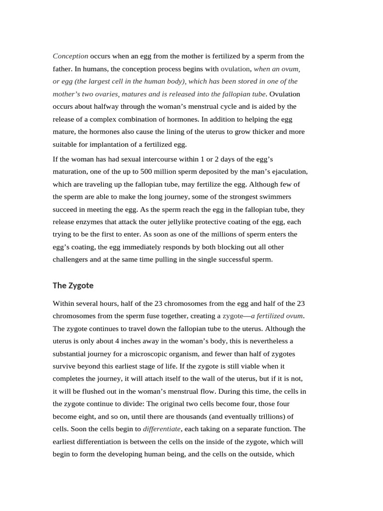 Prenatal Development Notes | PDF | Attachment Theory | Fetus