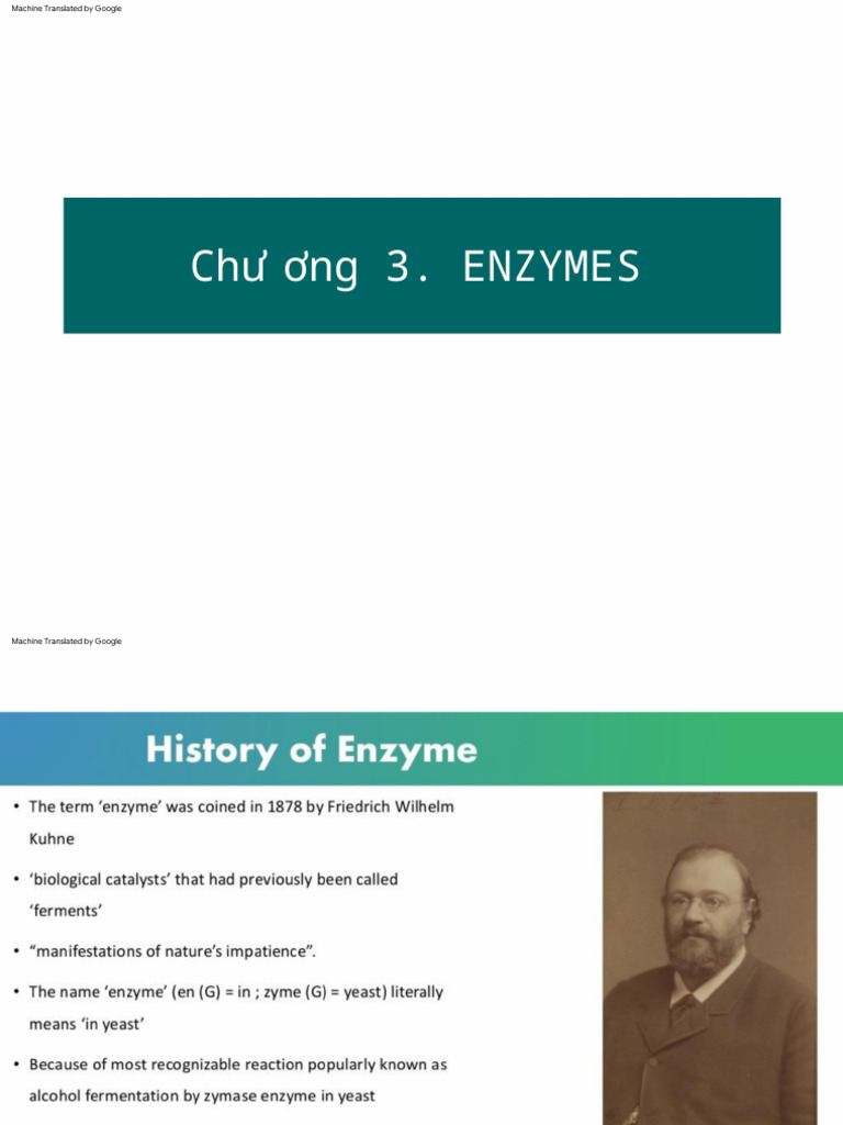 Chapter 3. Enzymes bản vietsub | PDF