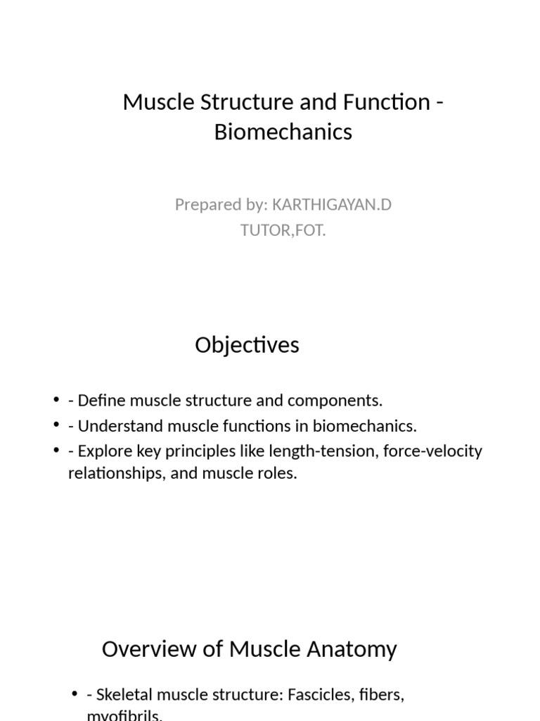 Muscle Structure and Function in Biomechanics | PDF | Skeletal Muscle ...