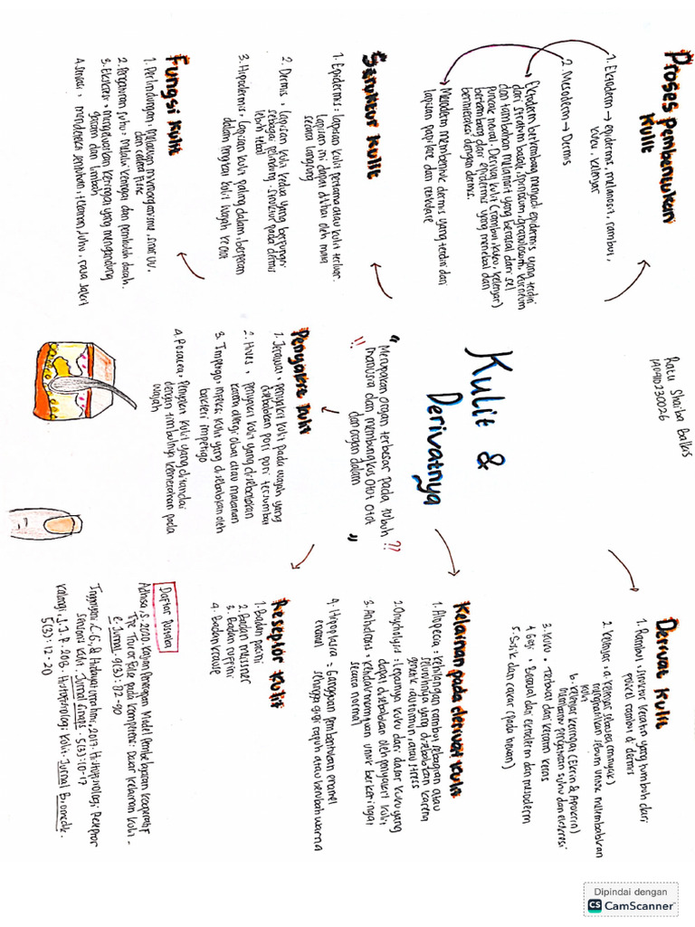 LKulit & Deriva | PDF