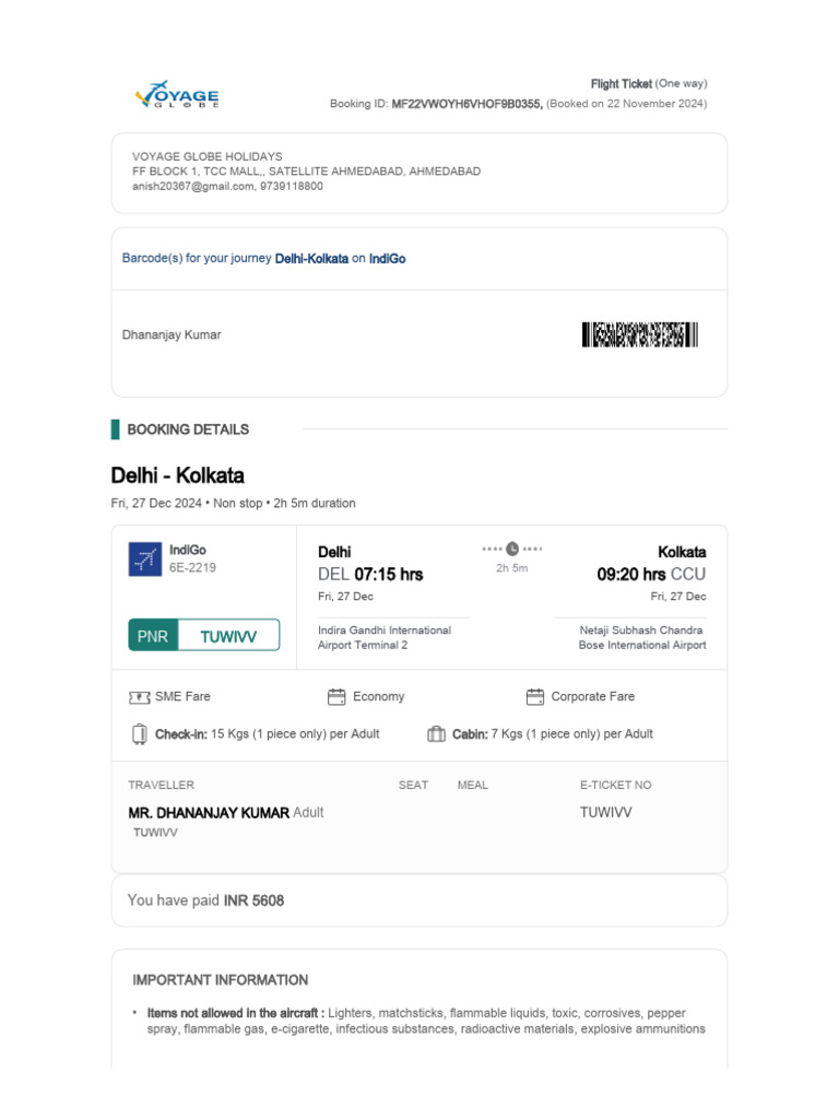 Flight Tickets Format | PDF