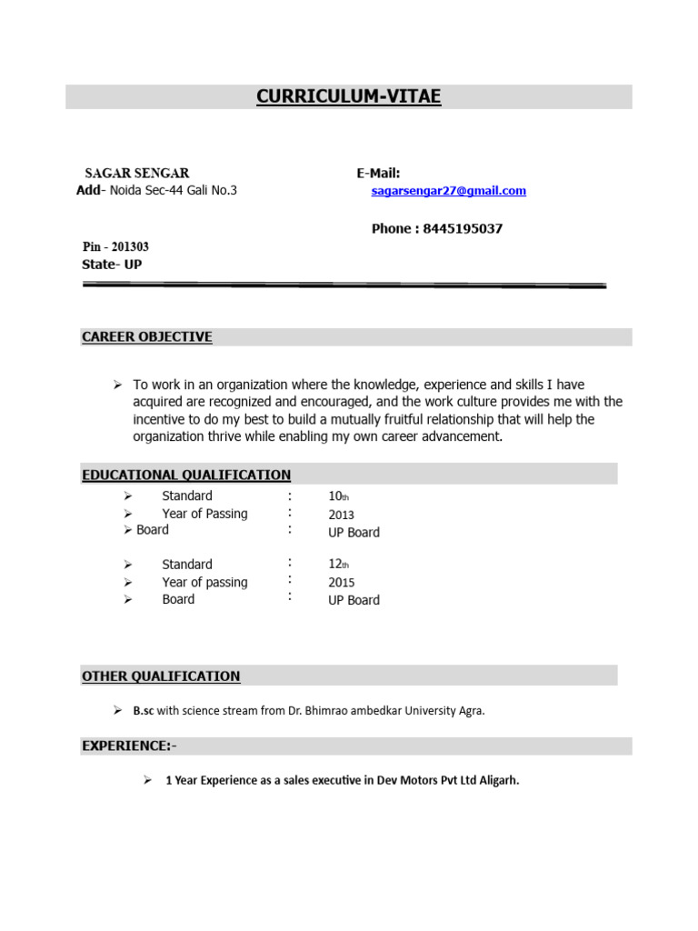 Curriculum-Vitae: Sagar Sengar | PDF