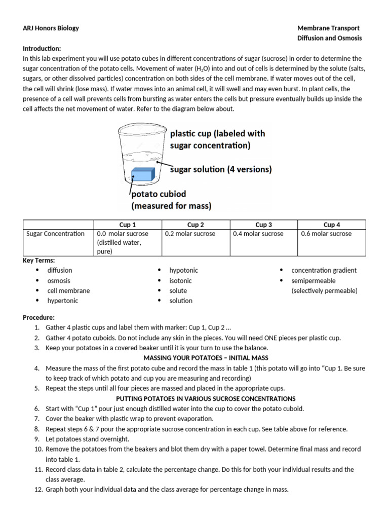 LAB Osmosis Potato Sucrose | PDF | Osmosis | Chemistry