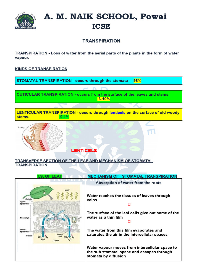 Grade 10 Biology Notes Transpiration | PDF