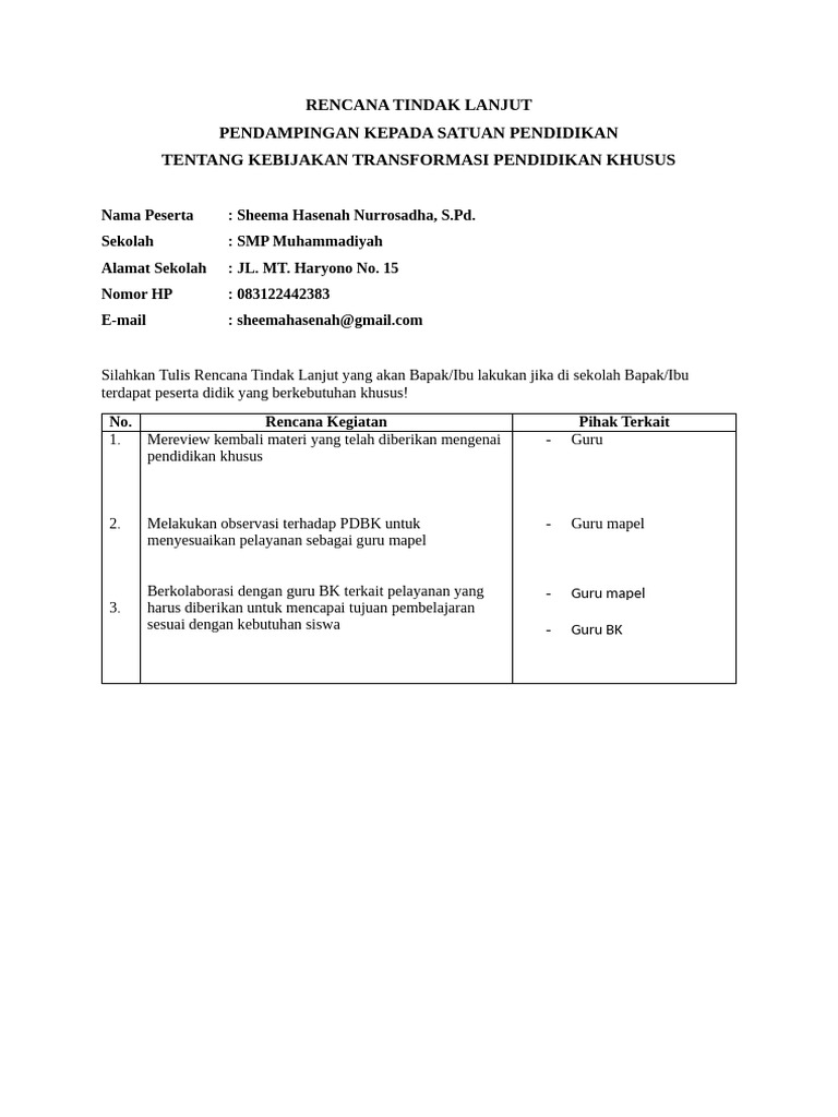 Rencana Tindak Lanjut Pendidikan Khusus | PDF
