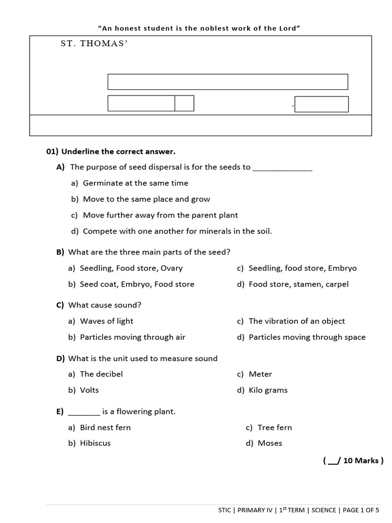 Science p4 | PDF | Seed | Flowers
